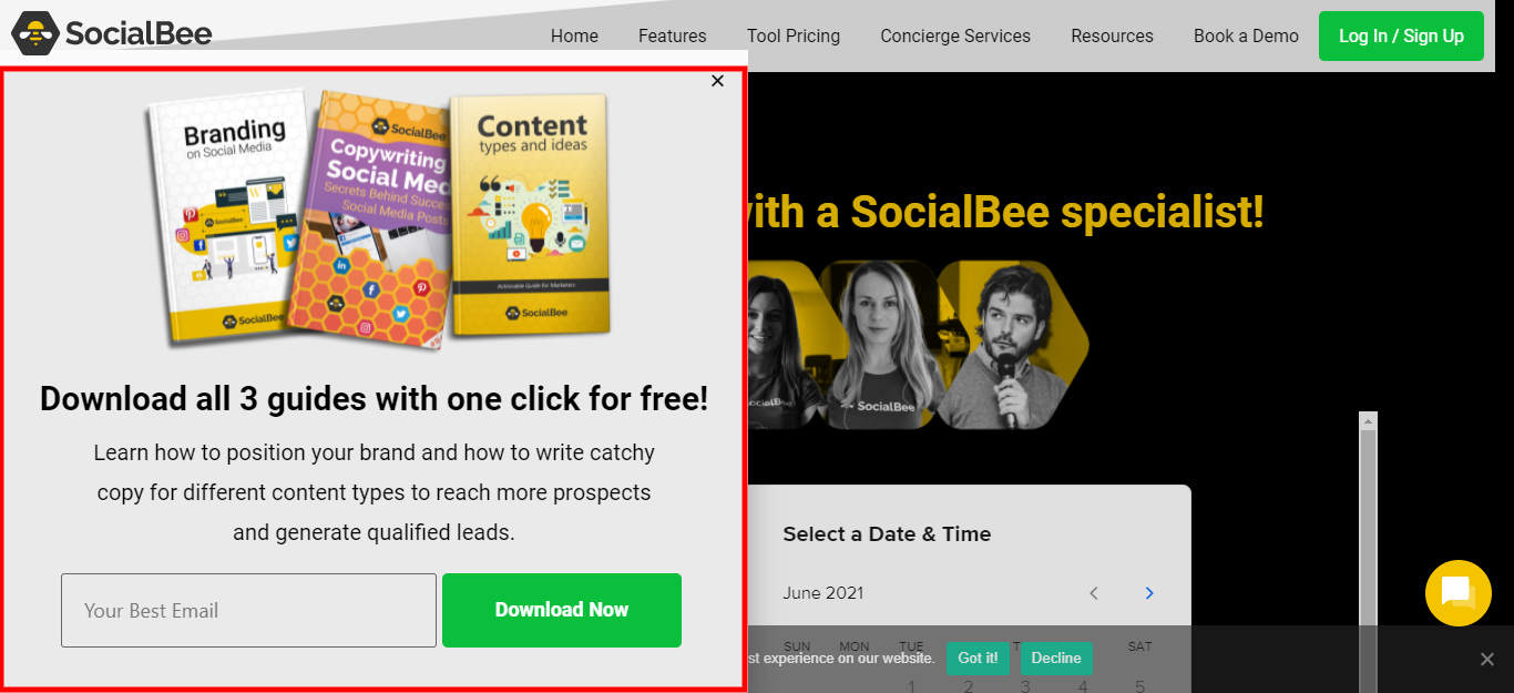 5 Expert Sample Emails You Need to Approach New Clients - adlibweb.